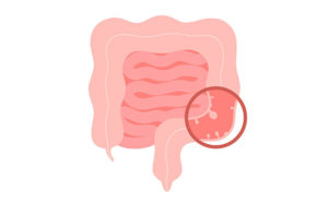 Home - Granite State Gastroenterology